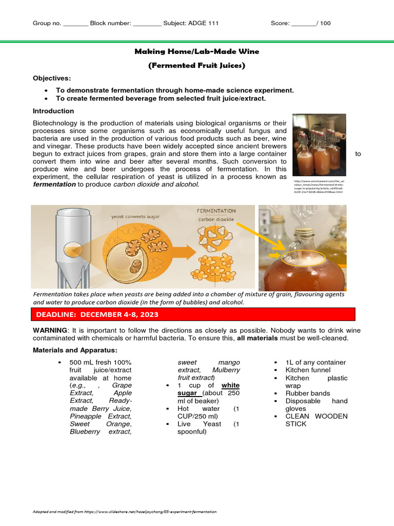 FERMENTATION Instruction and Worksheet | Download Free PDF | Wine | Drink