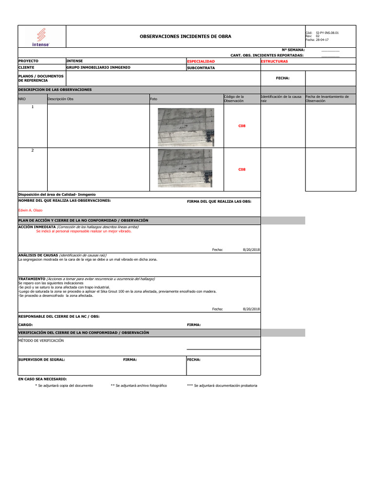Obs 001 Formato | PDF