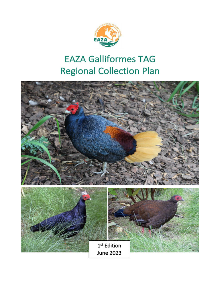 EAZA Galliformes TAG - RCP Report - 2022 - Final | PDF
