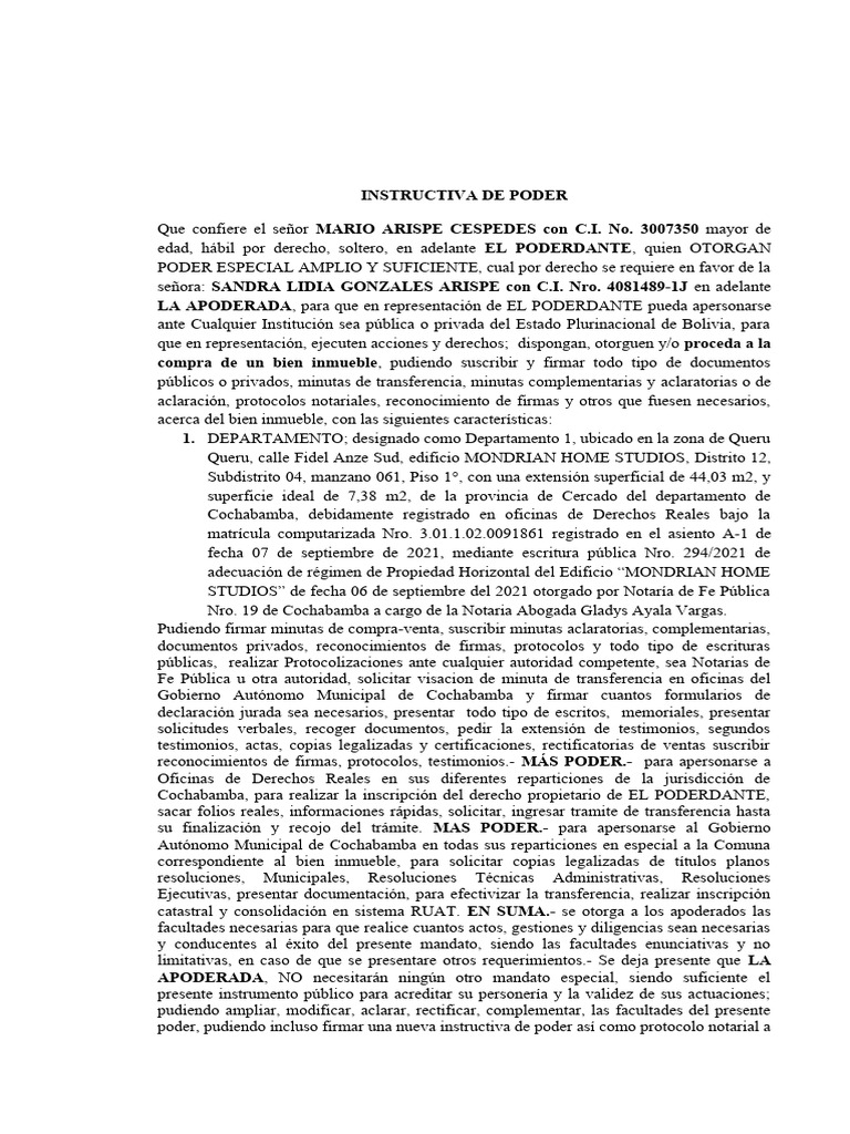 Instructivo de Poder Especial para Compra de Departamento | Descargar gratis PDF | Derecho Civil ...