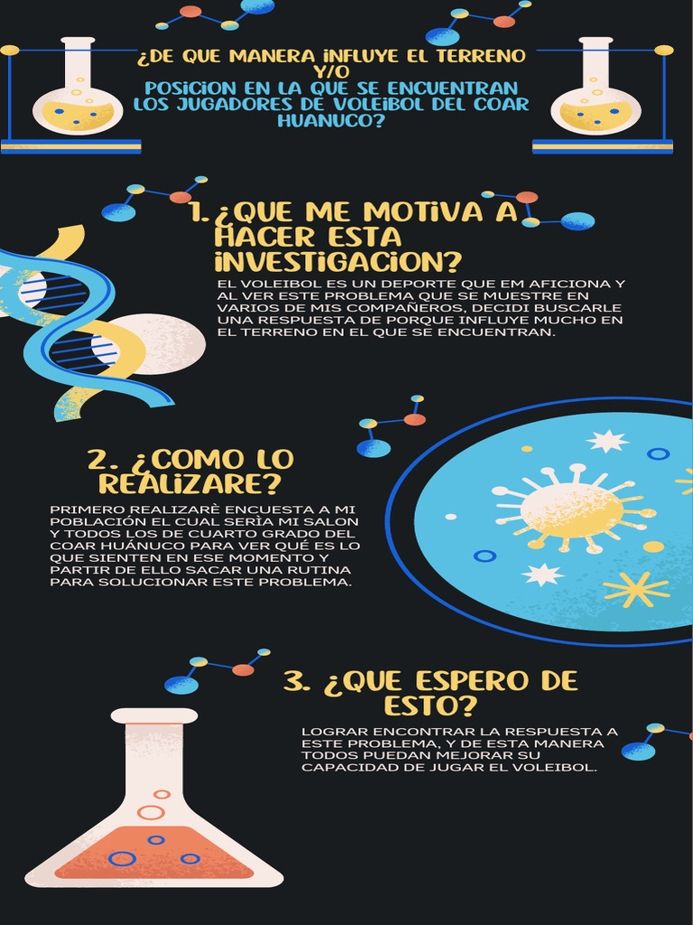 Infografía Sobre La Pregunta de Investigación | PDF