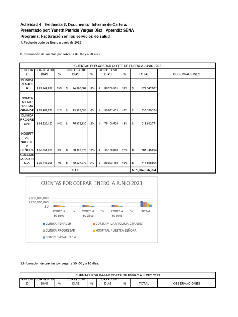 Actividad 4 - Evidencia 2 Documento - Informe de Cartera | PDF