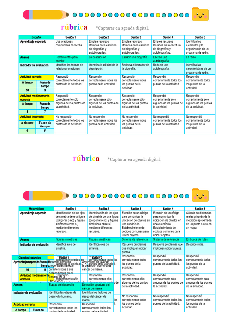 Rúbricas | PDF | Evaluación | Rúbrica (Académica)