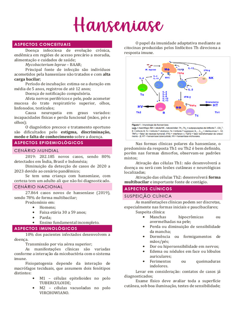 Hanseníase Resumo | PDF