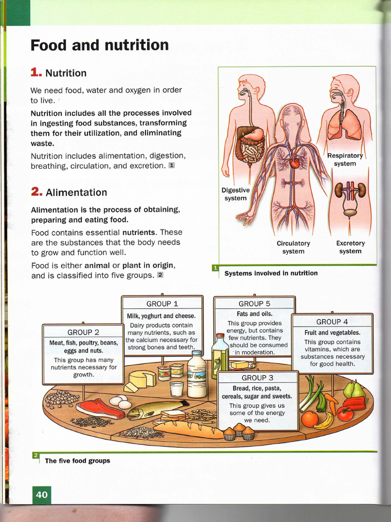 Food and Nutrition 1 | PDF
