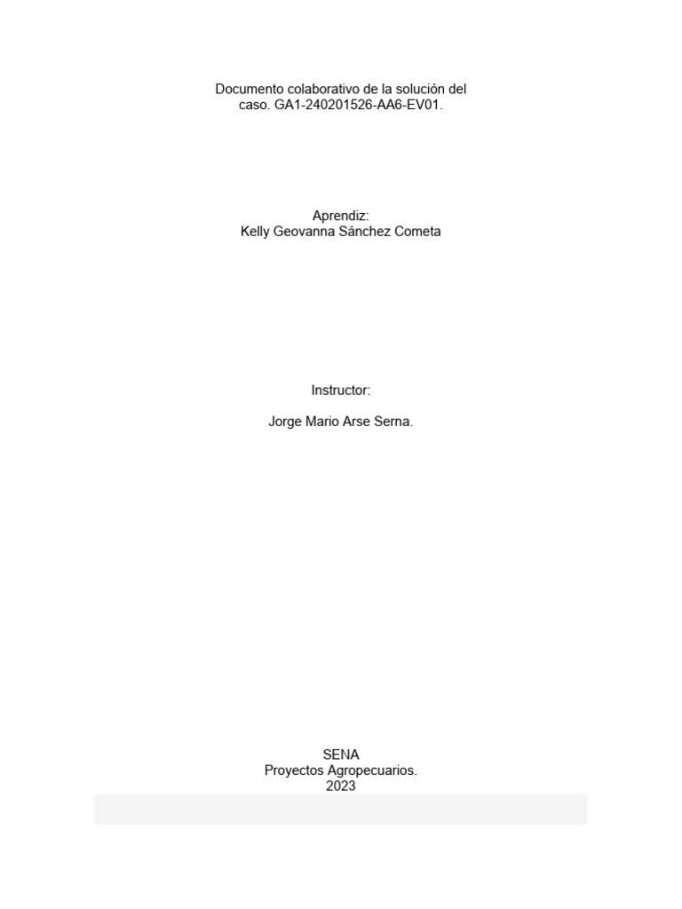 Documento Colaborativo de La Solución Del Caso Sena | PDF