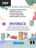 Bula Candiprin | PDF | Ciencias de la Salud | Enfermedades y trastornos