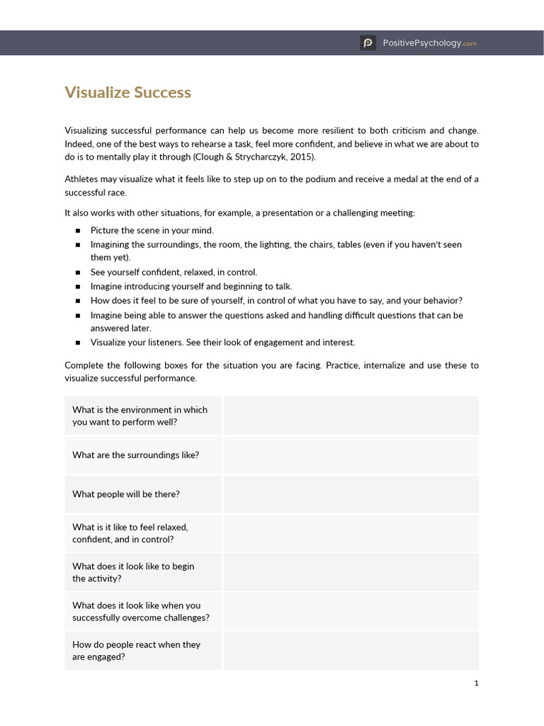 Visualize Success | PDF