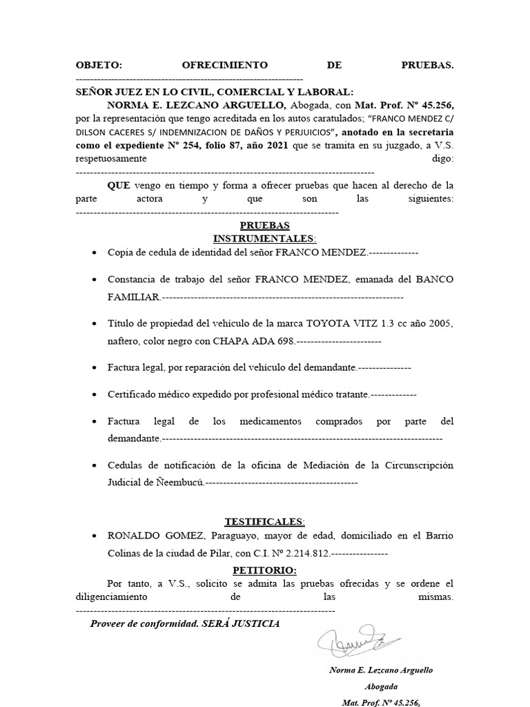 Modelo de Ofrecimiento de Pruebas | PDF