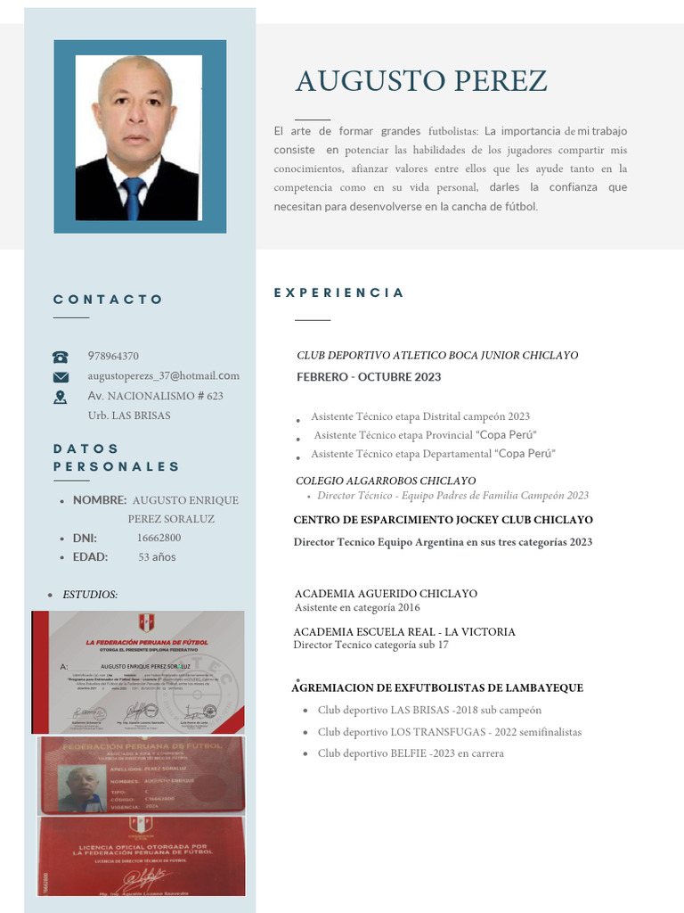 CV - AUGUSTO PEREZ SORALUZ. | PDF