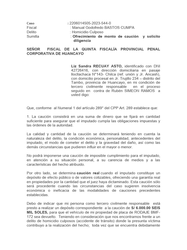 escrito caucion- liz | PDF | Etanol | Alcohol