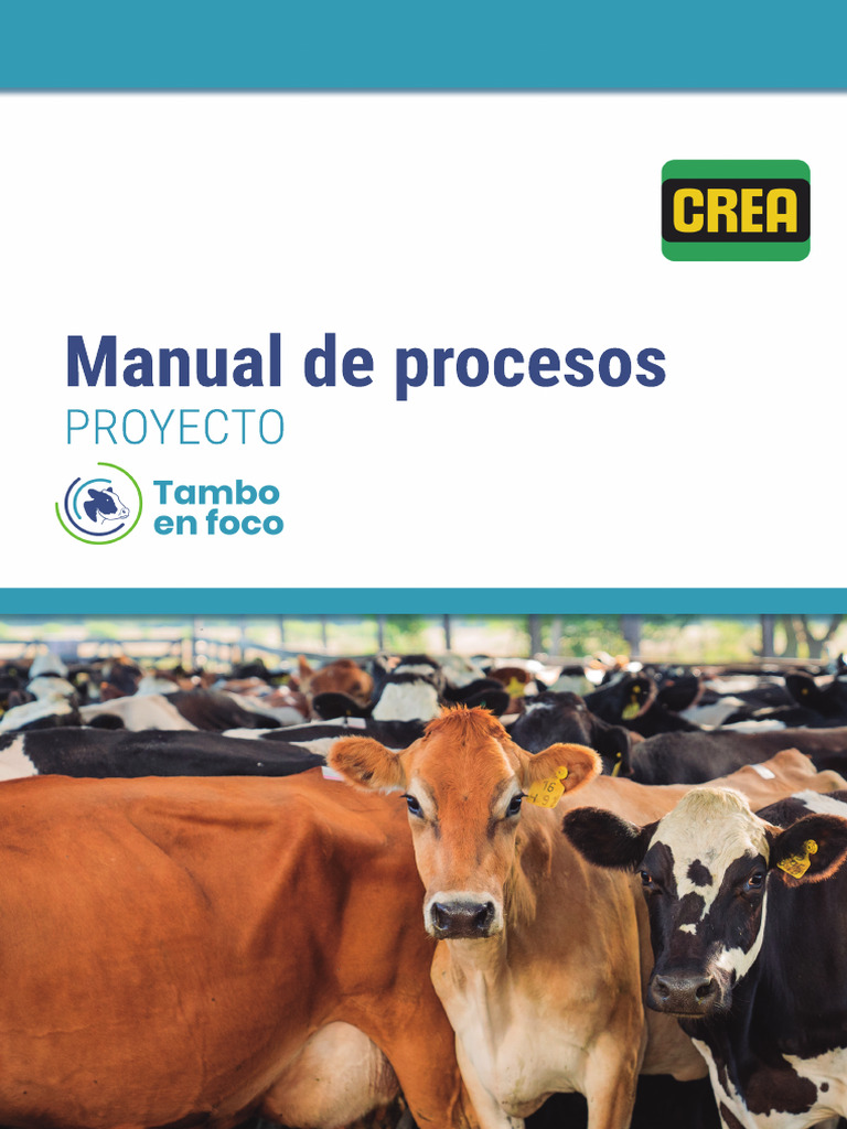Manual Tambo en Foco Final | PDF
