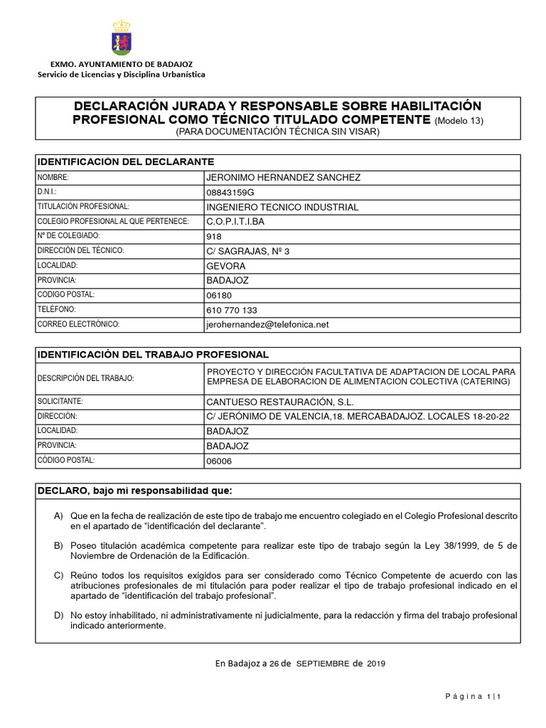 (Modelo 13) DECLARACIÓN JURADA TECNICO REDACTOR PROYECTO (Proyectos Sin ...