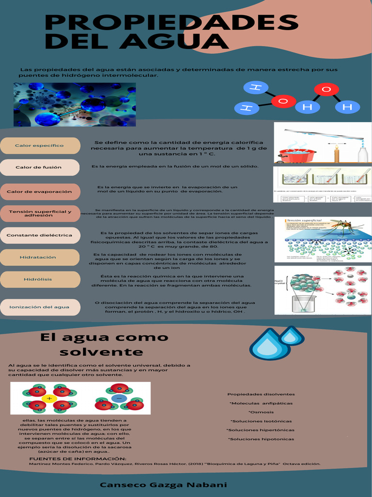 Infografía Agua | PDF | Agua | Propiedades del agua