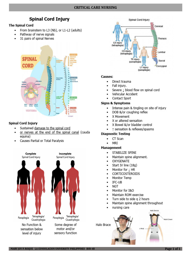 Week 14. Spinal Cord Injury | PDF | Spinal Cord | Spinal Cord Injury