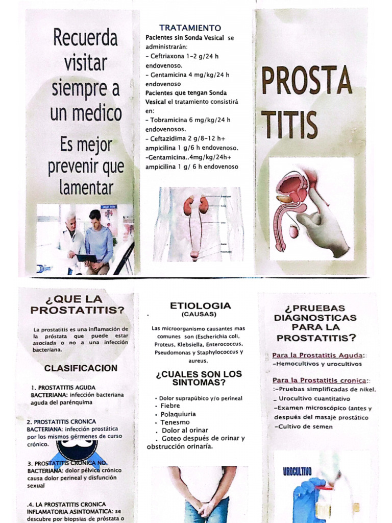 Triptico Prostatitis | PDF