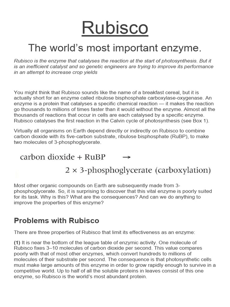Y12 Wider Reading - Rubisco | PDF | Wellness | Science & Mathematics