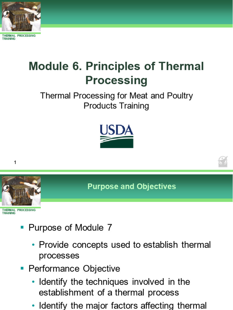 6 Principles of Thermal Processing. MODELOS MATEMÁTICOS AULA | PDF ...