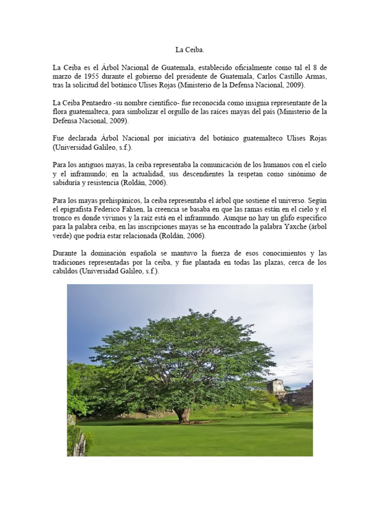 La Ceiba | PDF