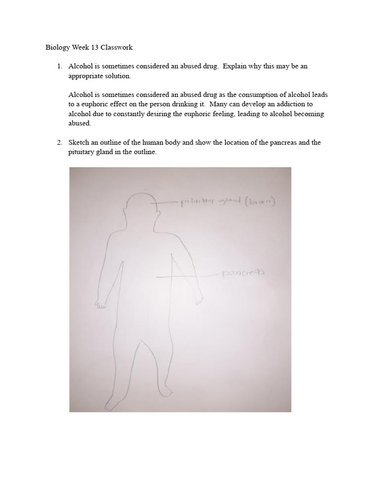 Biology Week 13 Classwork | PDF