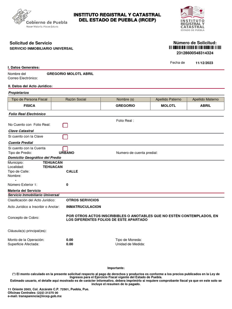 Solicitud IRCEP: Servicio Inmobiliario | PDF | Gobierno | Justicia