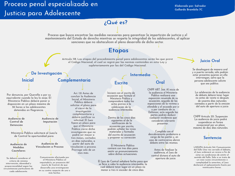 Mapa Conceptual Proceso Penal Especializado en Justicia para ...