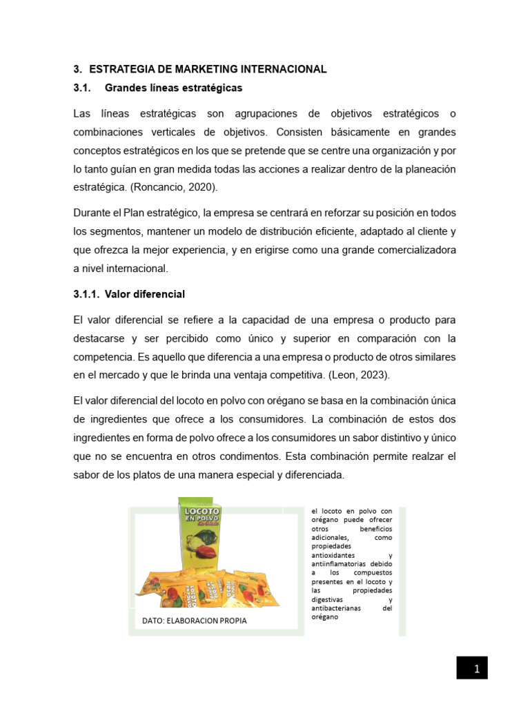 Estrategia de Marketing Internacional de Locot 1 | PDF