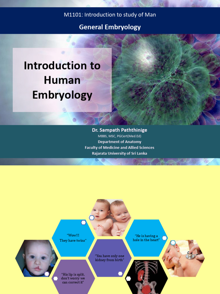 M1101-ISM-E1-Introduction To Embryology | PDF
