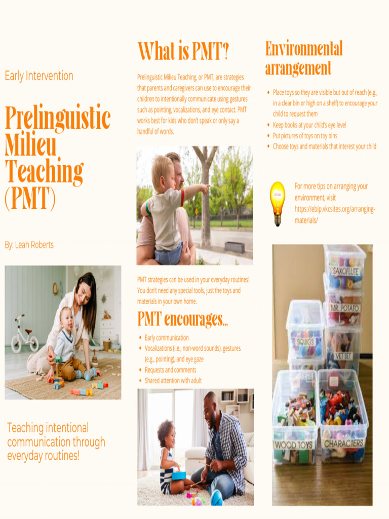 PMT Brochure | PDF