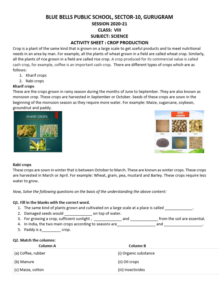 CROP PRODUCTION Worksheet 1 Science | PDF