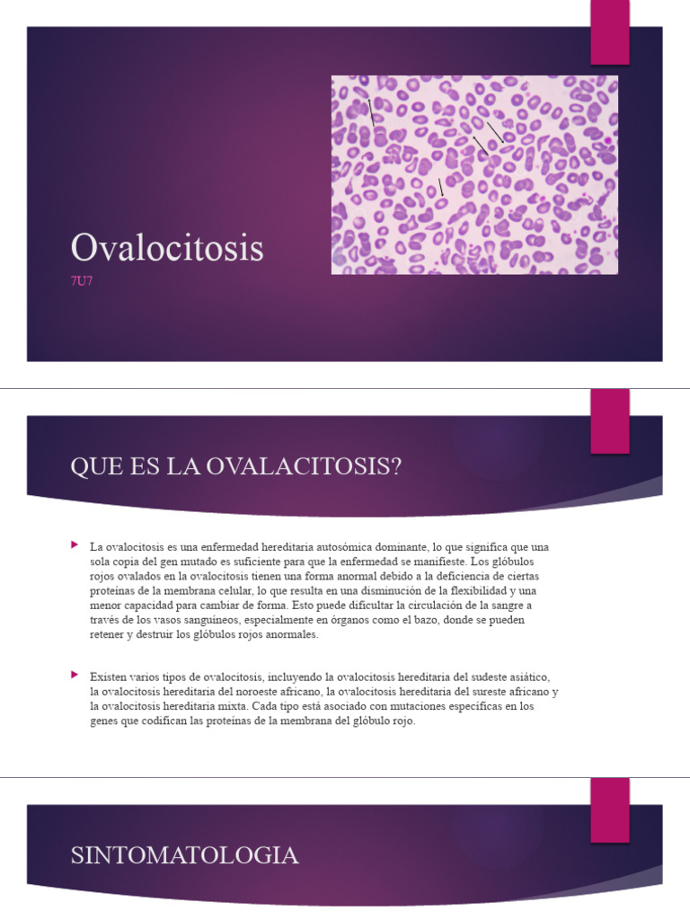 Ovalocitosis | PDF