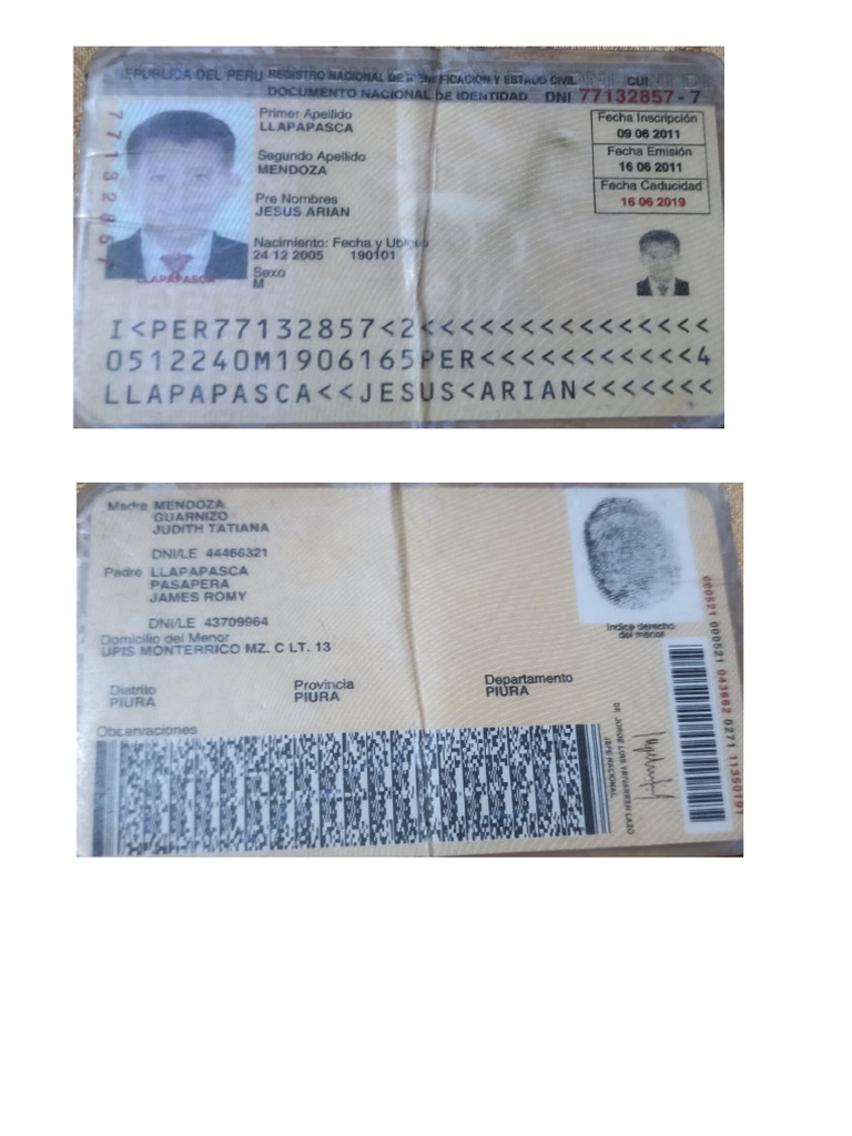 Documento (19) | PDF