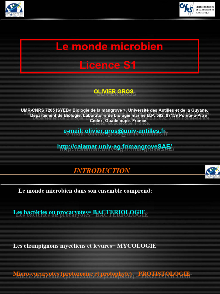 Cours Bacterio L1-2023 | PDF