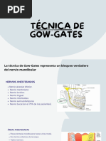 Anatomía y Límites de la Región Maseterina | PDF | Cabeza y cuello ...