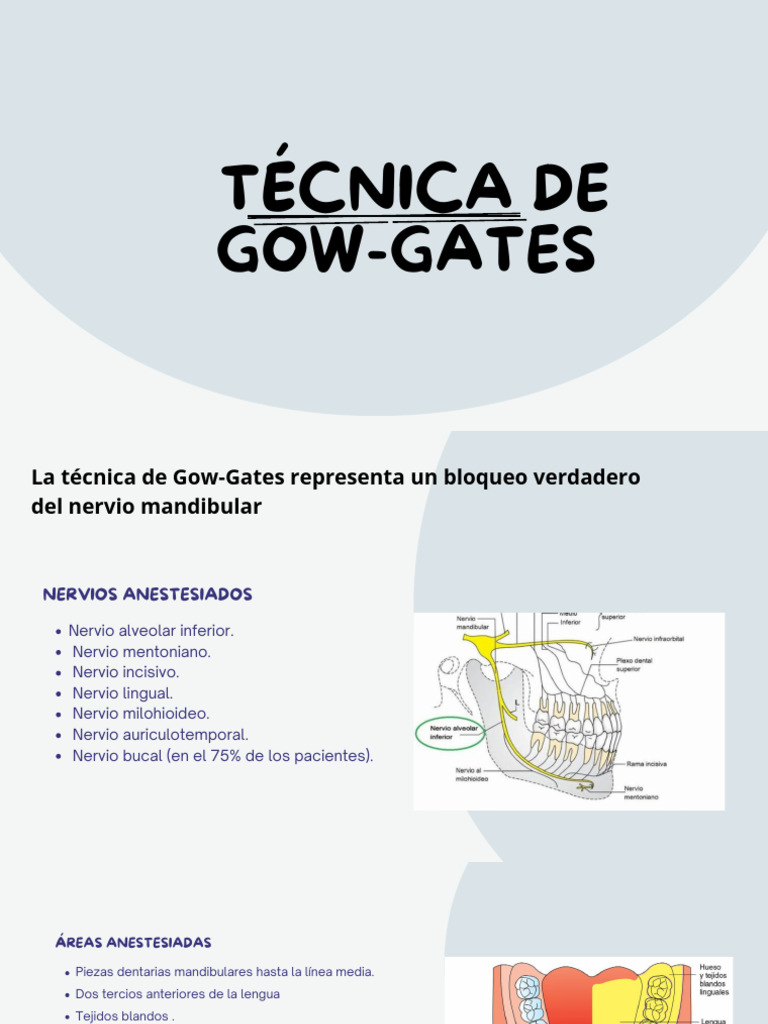 Tecnica de Gow-Gates | Descargar gratis PDF | Cabeza y cuello humanos ...