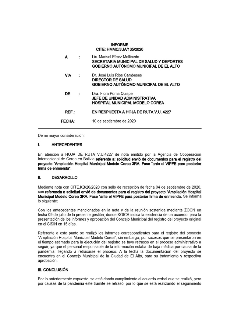 Informe De Koika Pdf