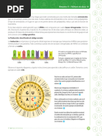 Tabla de Codones | PDF | Serina | Codigo genetico