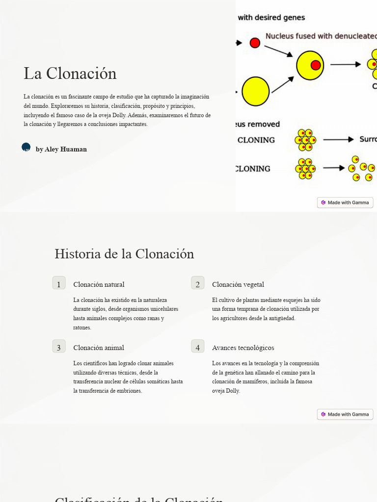 La Clonacion | PDF | Clonación | Genética