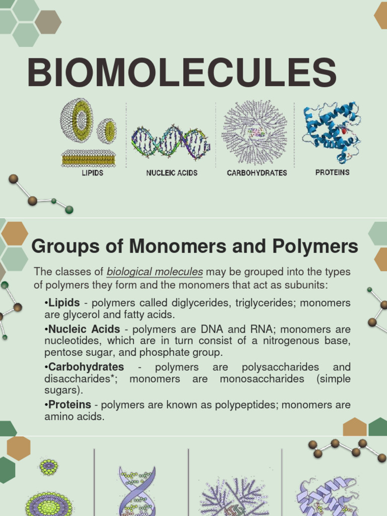 4 General Biology 1 Biomolecules | PDF | Carbohydrates | Biomolecules