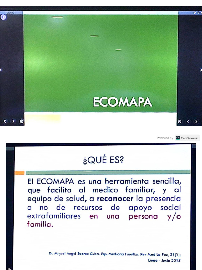 ECOMAPA | PDF