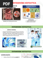 Enterobius vermicularis: Ciclo y Tratamiento | PDF | Epidemiología ...
