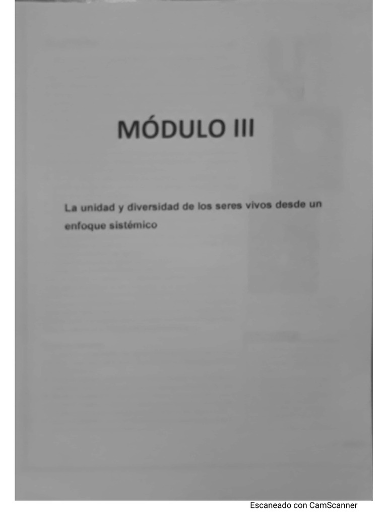 Texto Modulo 3 | PDF