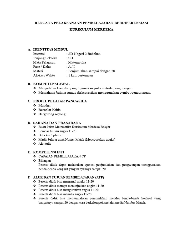 RPP Berdiferensiasi | PDF
