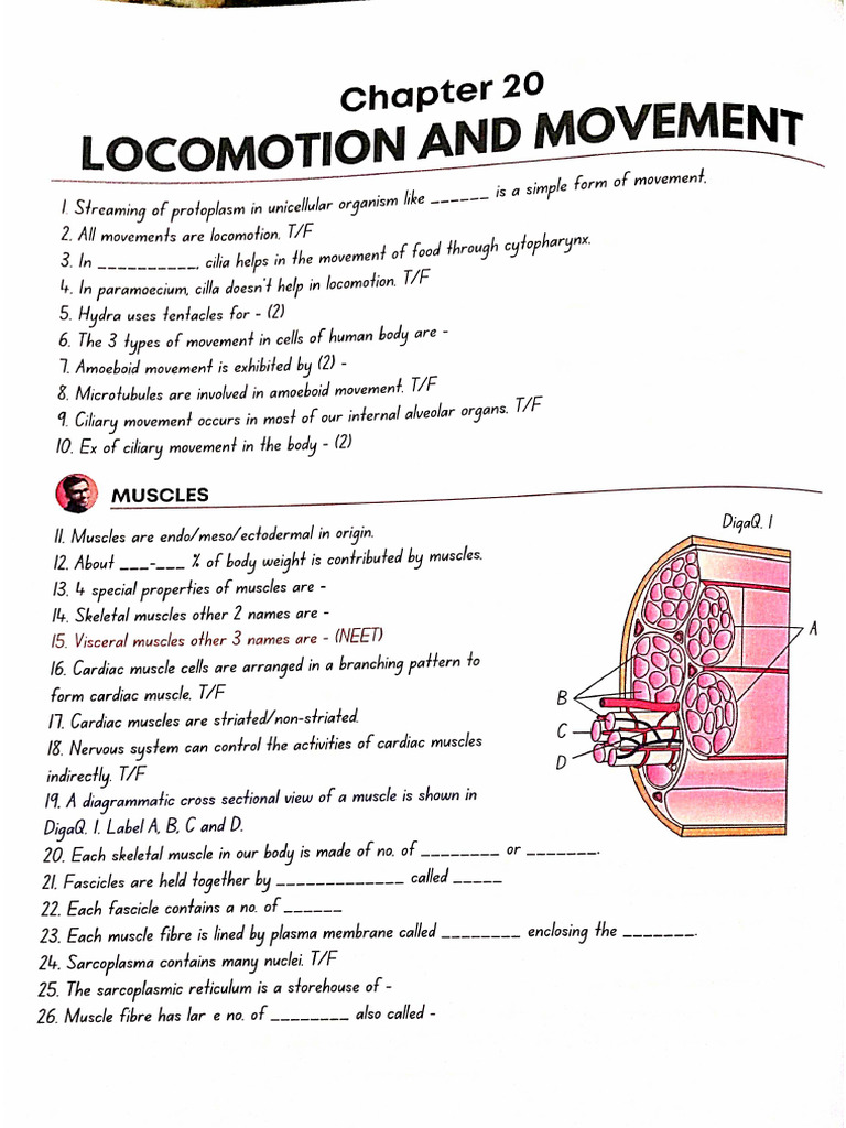 Locomotion and Movement | PDF