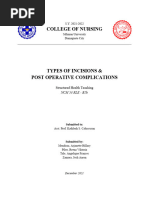 Rutherford Morrison Incision Summary | PDF