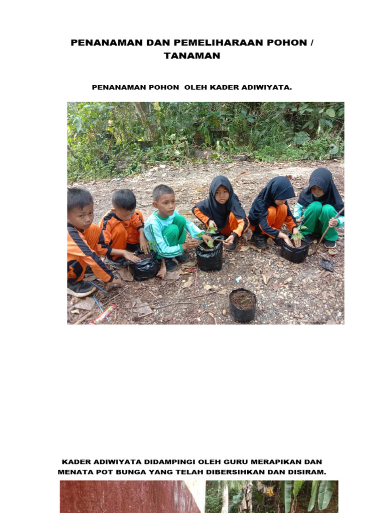 PENANAMAN DAN PEMELIHARAAN POHON (1) | PDF