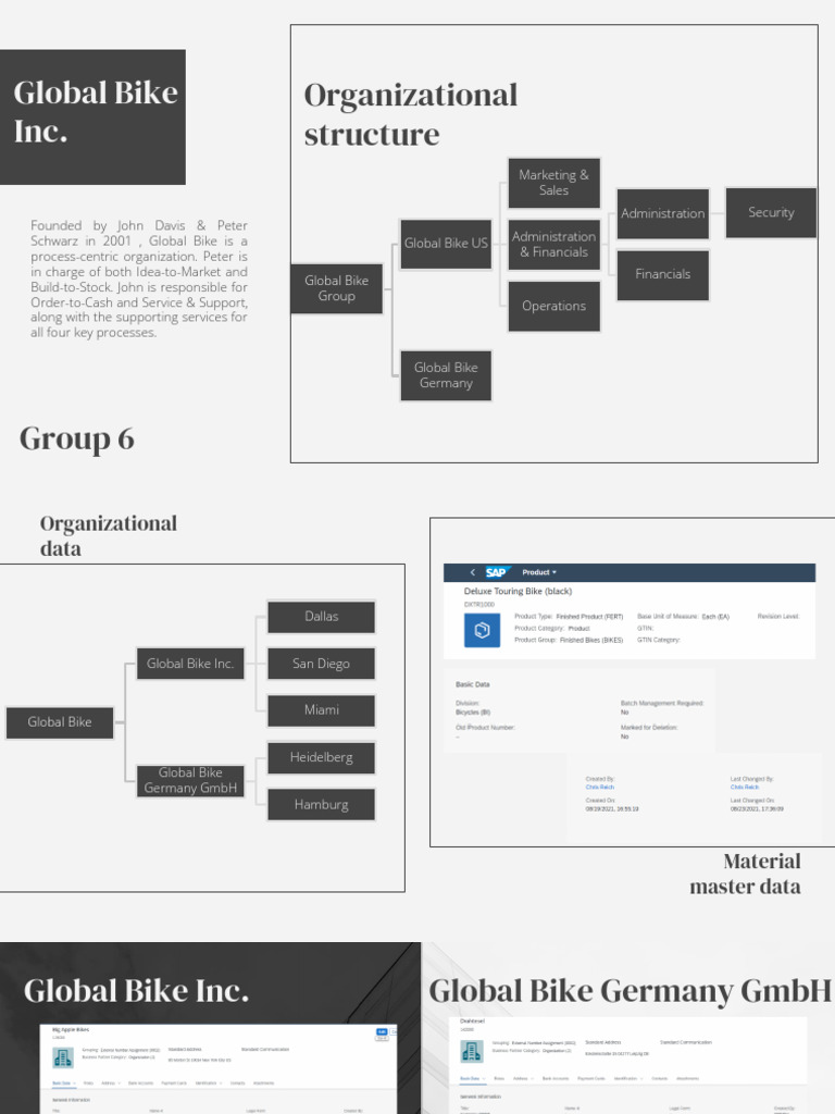 Global Bike Inc. Organizational Overview | PDF | Customer | Business