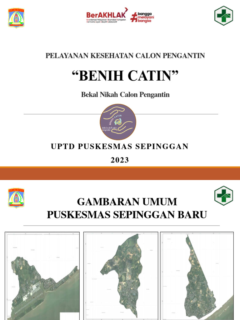 Catin Sepinggan-A | PDF | Ilmu Sosial