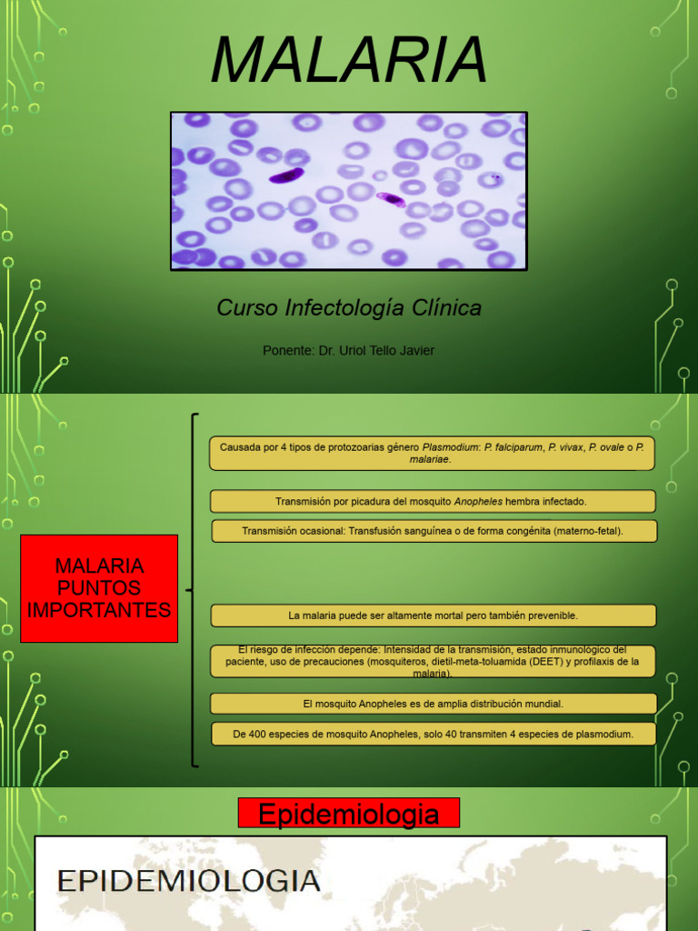 Malaria | PDF | Malaria | Plasmodium