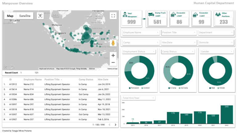 Manpower Overview | PDF